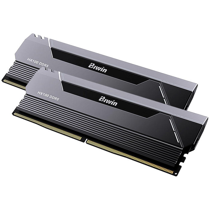 Memoria RAM DDR5 32GB 6400MT/s BIWIN HX100 2x16GB Negro B5HX100326436E ...